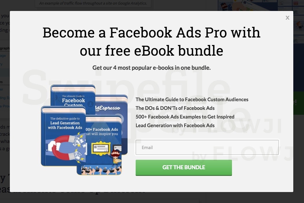 Opt-in Example - Become a Facebook Ads Pro - Swipefile by Flowji