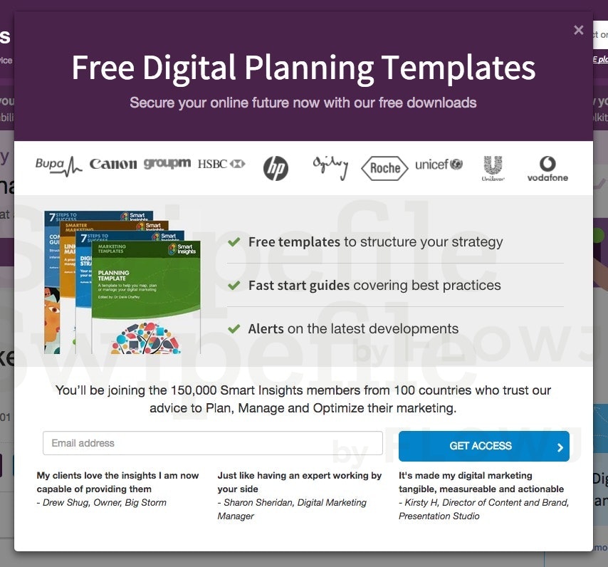 Opt-in Example - Free Digital Planning Templates to secure your online ...