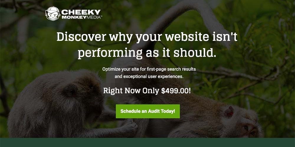 Landing Page - Cheeky Monkey Media - $499.00 Website Audit - Swipefile by Flowji